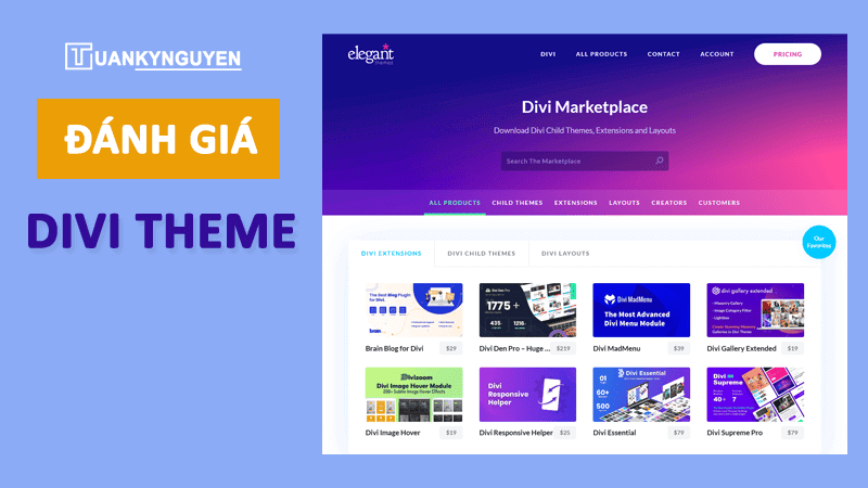 Divi Theme: Công cụ tạo website WordPress hoàn hảo